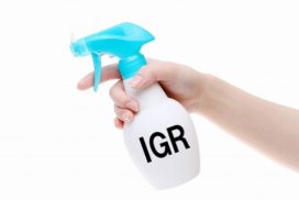 IGR剤がチョウバエ・ボウフラ・ユスリカ駆除におすすめの理由｜おしえて！田舎センセイ！